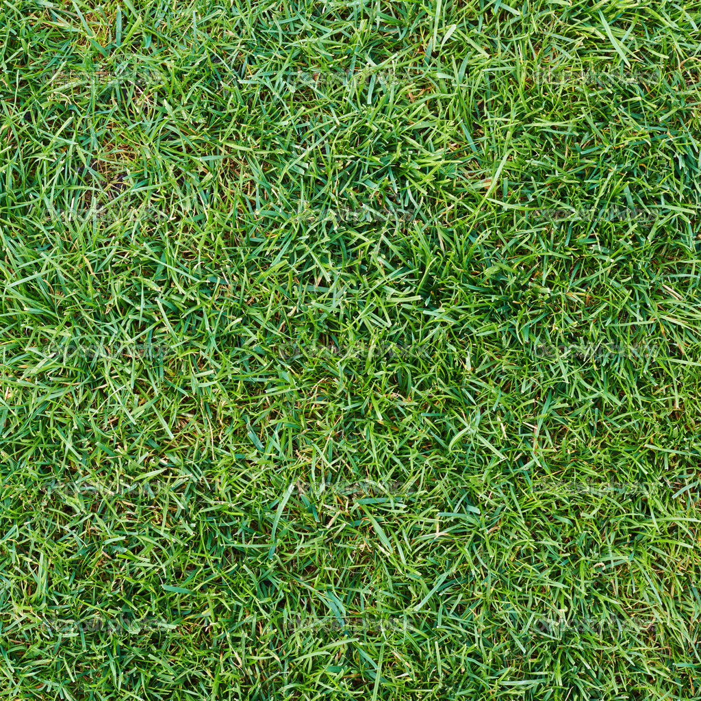 Texture fresca erba verde — Foto Stock © exopixel #33087167