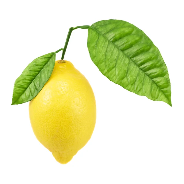 Citron Pictures, Citron Stock Photos & Images | Depositphotos®