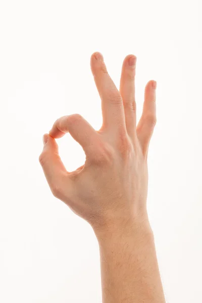 Michelangelo hand Stock Photos, Royalty Free Michelangelo hand Images ...