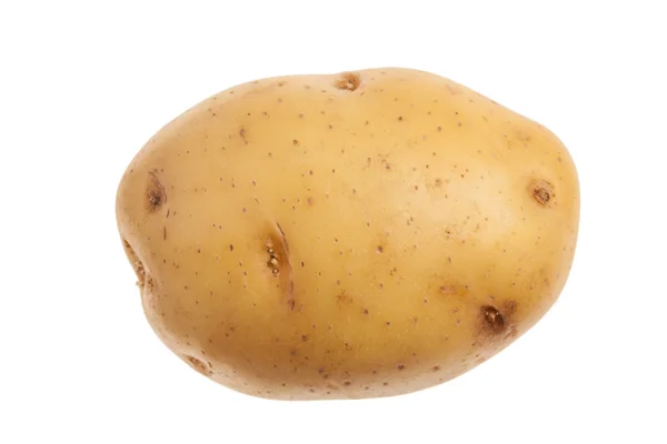 Single fresh potato. Isolated on white background. Close-up stud ...