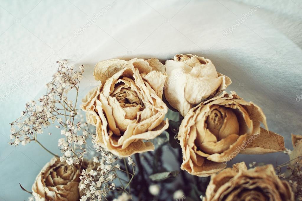Dead Roses Bouquet — Stock Photo © Weat #33707111