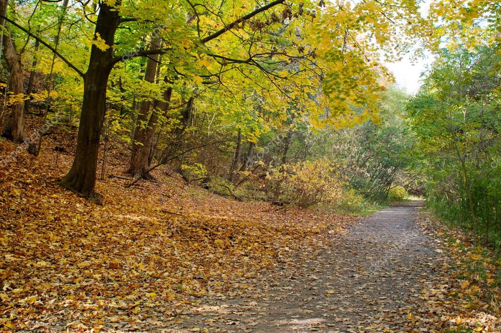 Autumn hiking trail — Stock Photo © Weat #37932039
