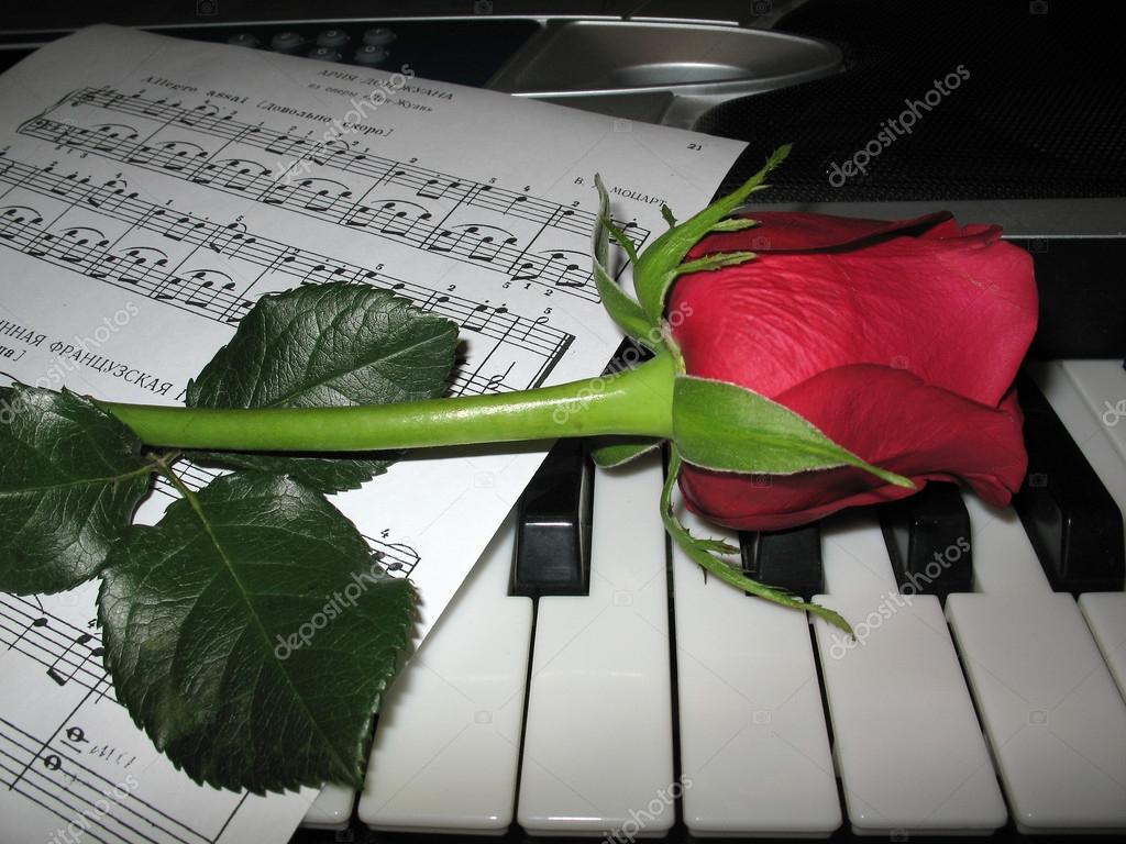 Rose piano music Stock Photo by ©Vitalik-sv 24894685