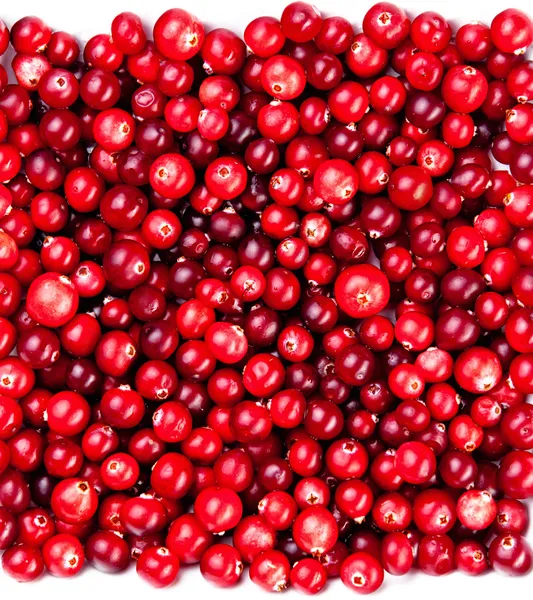 ᐈ Cranberries stock photography, Royalty Free cranberries photos ...