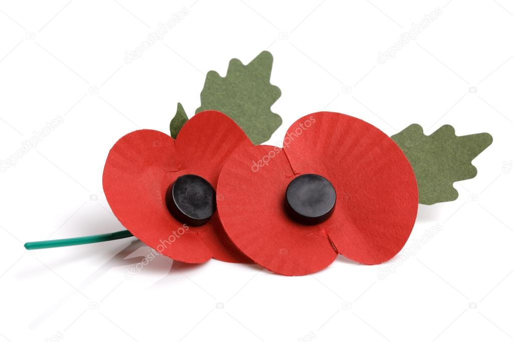 Remembrance sunday poppy — Stock Photo © BrianAJackson #24513169