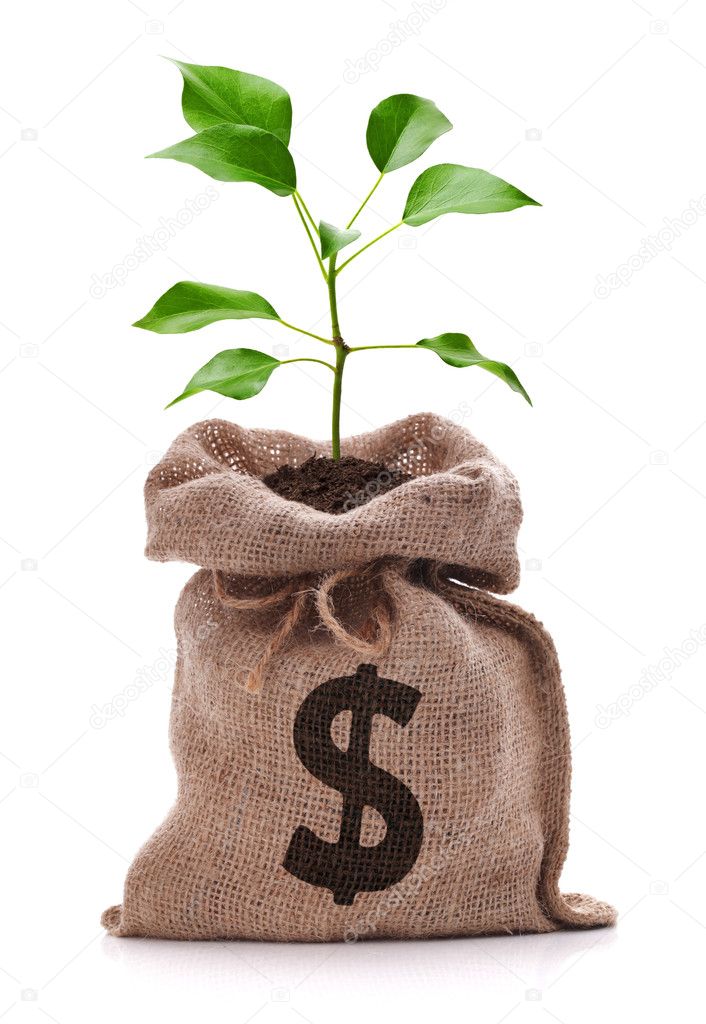 Árbol de dinero — Foto de stock #31689367 © BrianAJackson