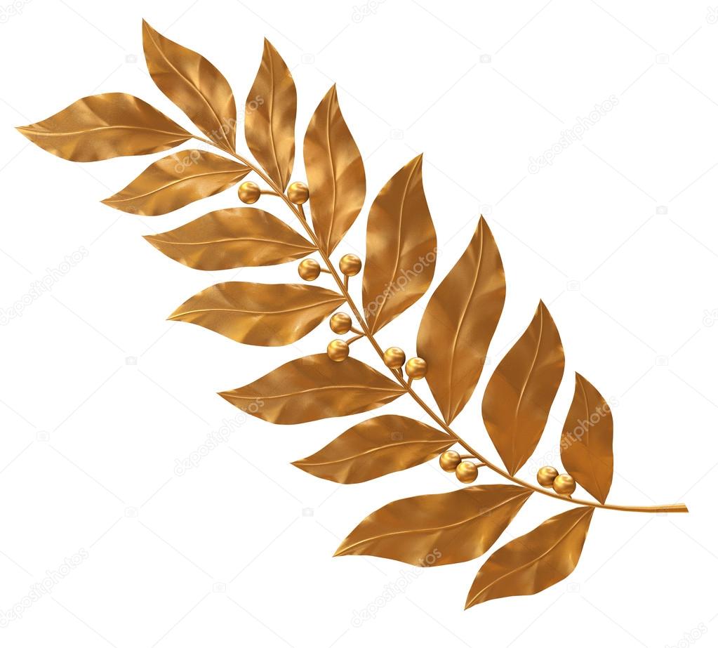 Branche de Laurier or — Photographie _vallav_ © #24792997