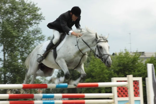 Trakehner jumping Stock Photos, Royalty Free Trakehner jumping Images ...