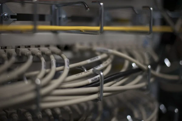 Cloud shared optical fiber patch panel in a data center — Stock Photo ...