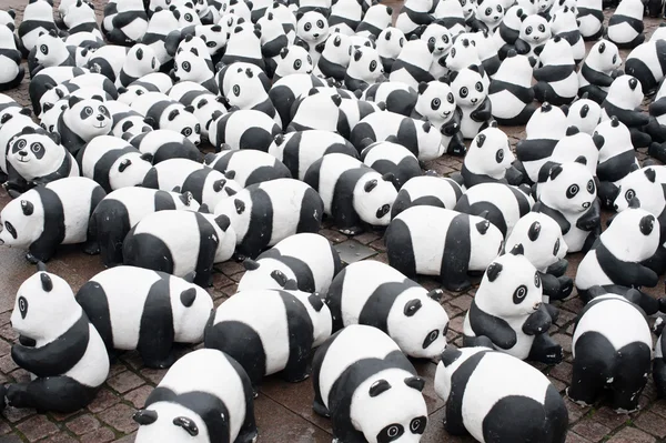 Panda Animal welfare organization – Stock Editorial Photo ...