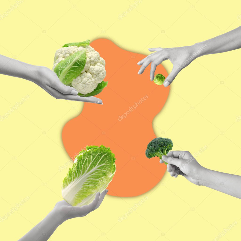 Set con diferentes tipos de col en las manos. Brócoli, coles de ...