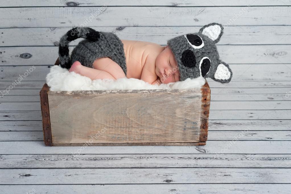 Newborn Baby Boy in a Raccoon Costume Stock Photo by ©katrinaelena 28530619