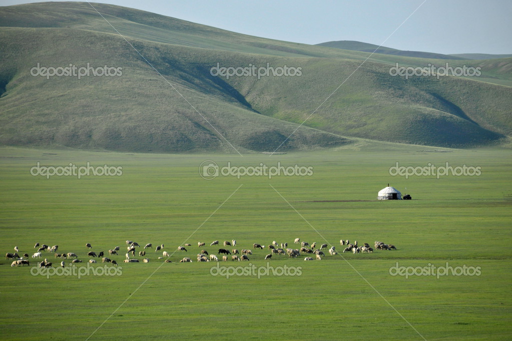 Inner Steppe Mongolia