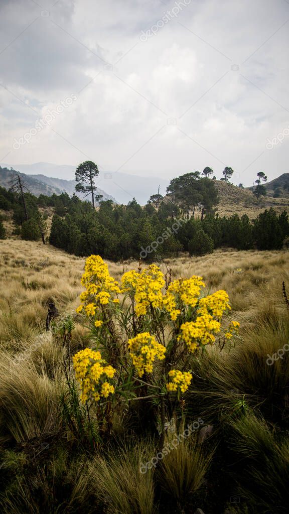Uno de los puntos turísticos más famosos de México. 2022