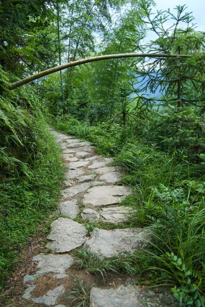 Stone pathway Stock Photos, Royalty Free Stone pathway Images ...
