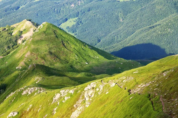 Imágenes de Paseo de los apeninos, fotos de Paseo de los apeninos sin ...