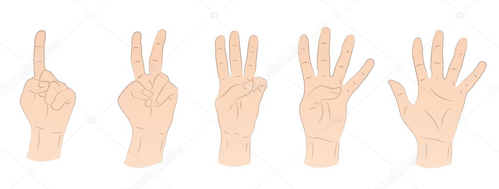 Hand growth chart Stock Photos, Royalty Free Hand growth chart Images ...