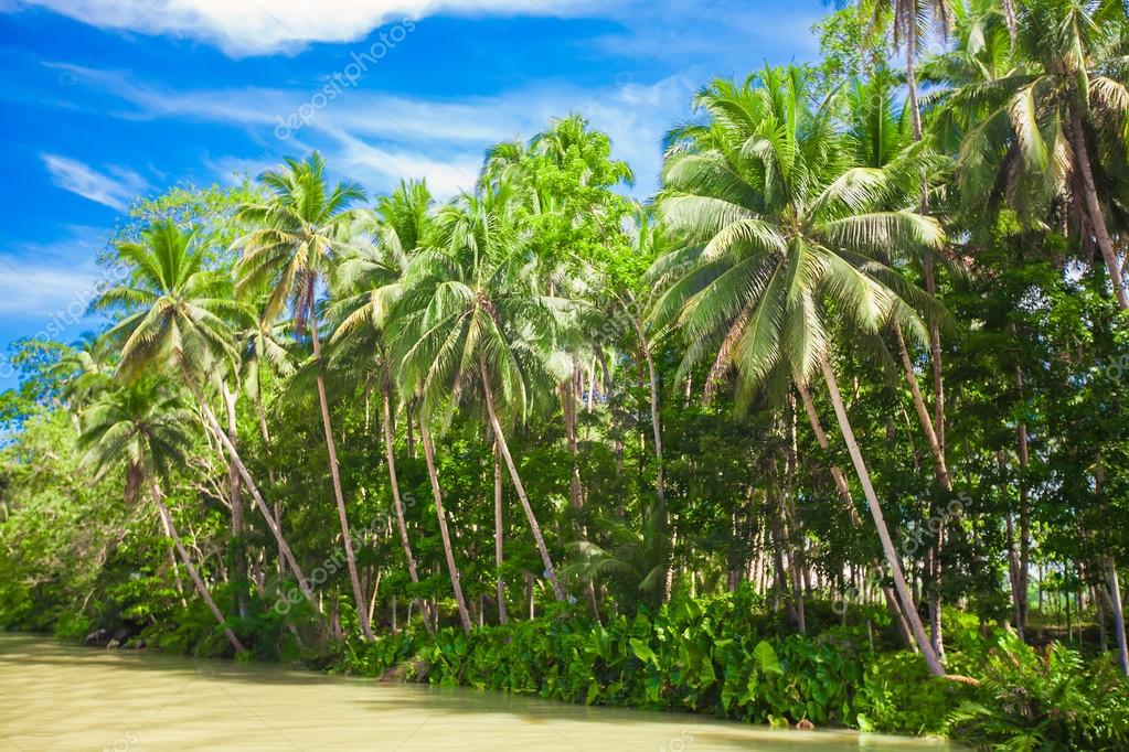 Río Loboc tropical en la isla Bohol en Filipinas — Foto de stock ...