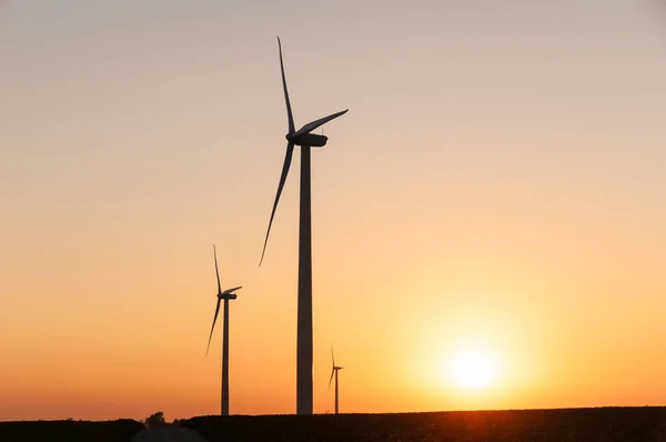 Silhouette of large wind turbine farm at sunset, Dexter, Minnesota, USA ...