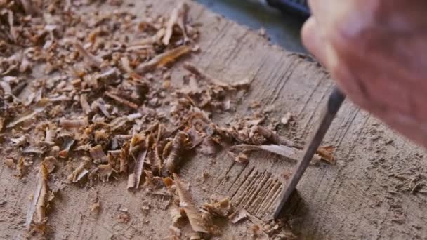 9,932 Local man Videos, Royalty-free Stock Local man Footage ...