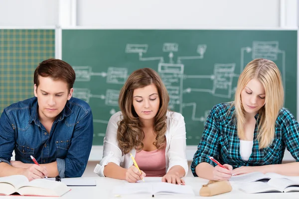 Trainee Stock Photos, Royalty Free Trainee Images | Depositphotos