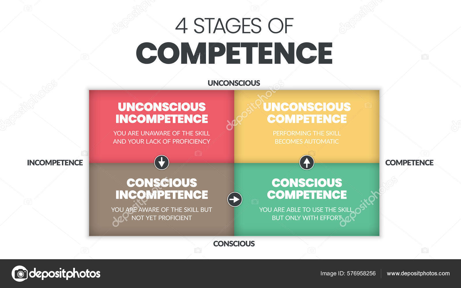 Matrix Diagram Stadier Kompetence Vektor Diagram Infografik Udvikling ...