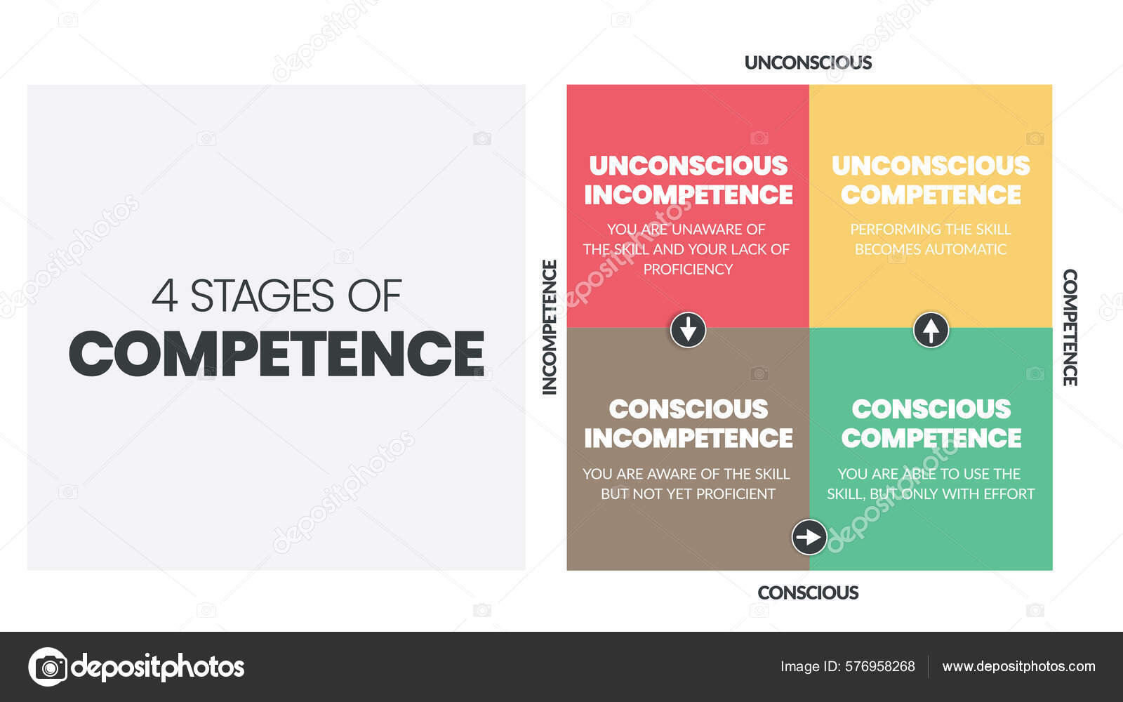 Matrix Diagram Stages Competence Vector Chart Infographic Human ...
