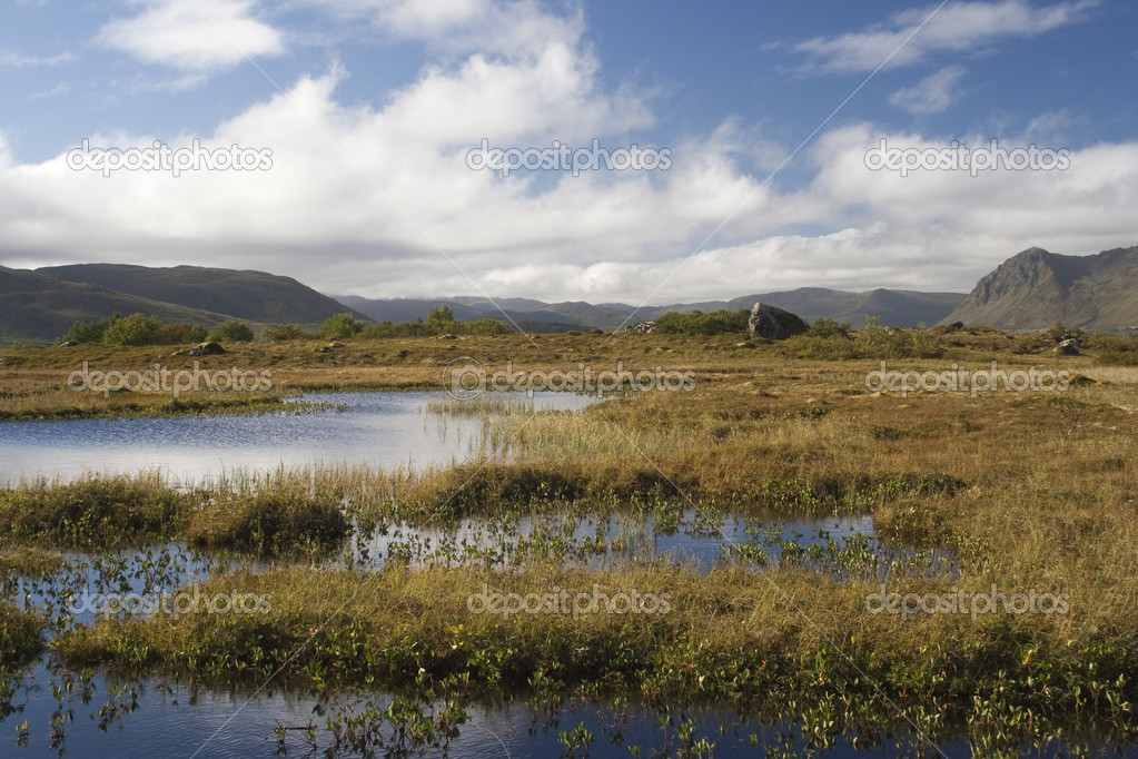 Marsh Land on Gimsoya, Lofoten Islands, Norway, Scandinavia Stock Photo ...