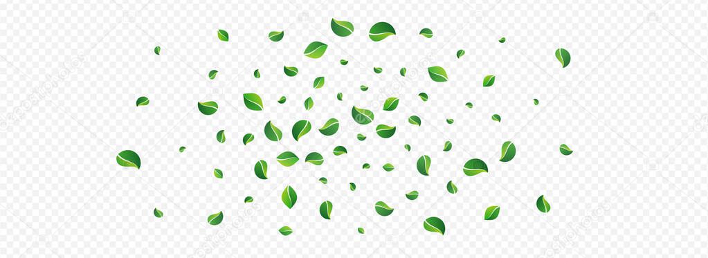 Green Leaf Spring Vector Panoramic Fondo transparente. Concepto de ...