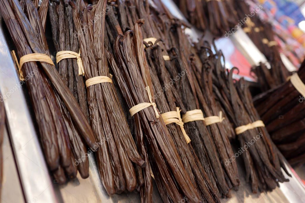 Verdadera vainilla fresca del bourbon de vainilla madagascar de la isla ...