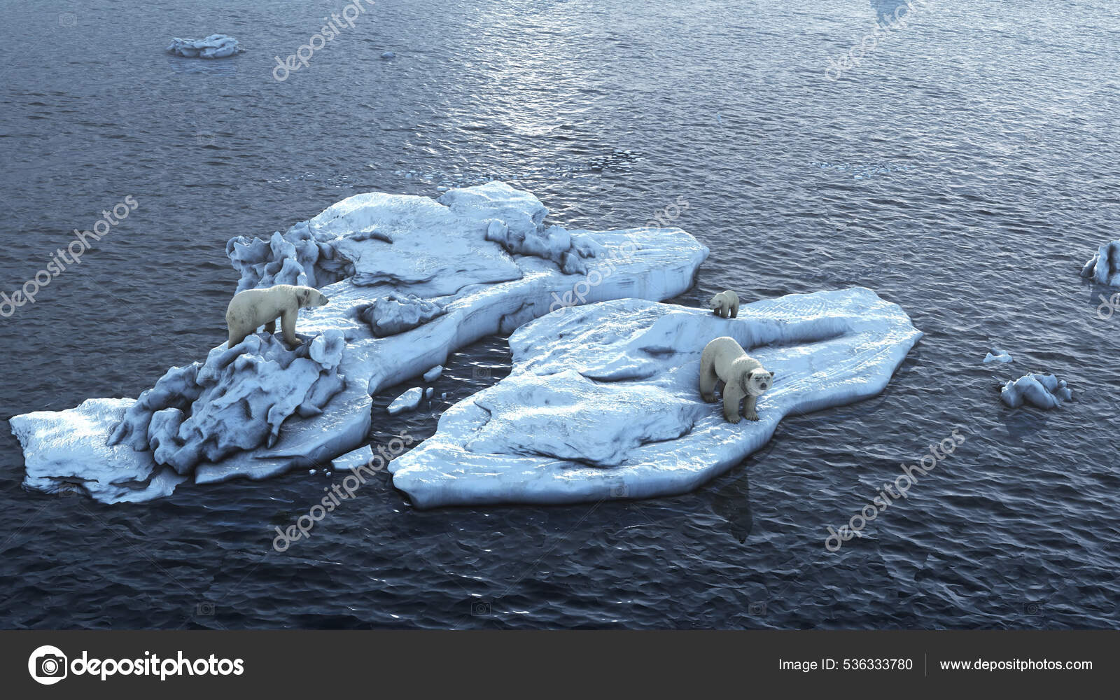 Three Polar Bears Melting Arctic Sea Ice Aerial Viewdrone View — Foto ...
