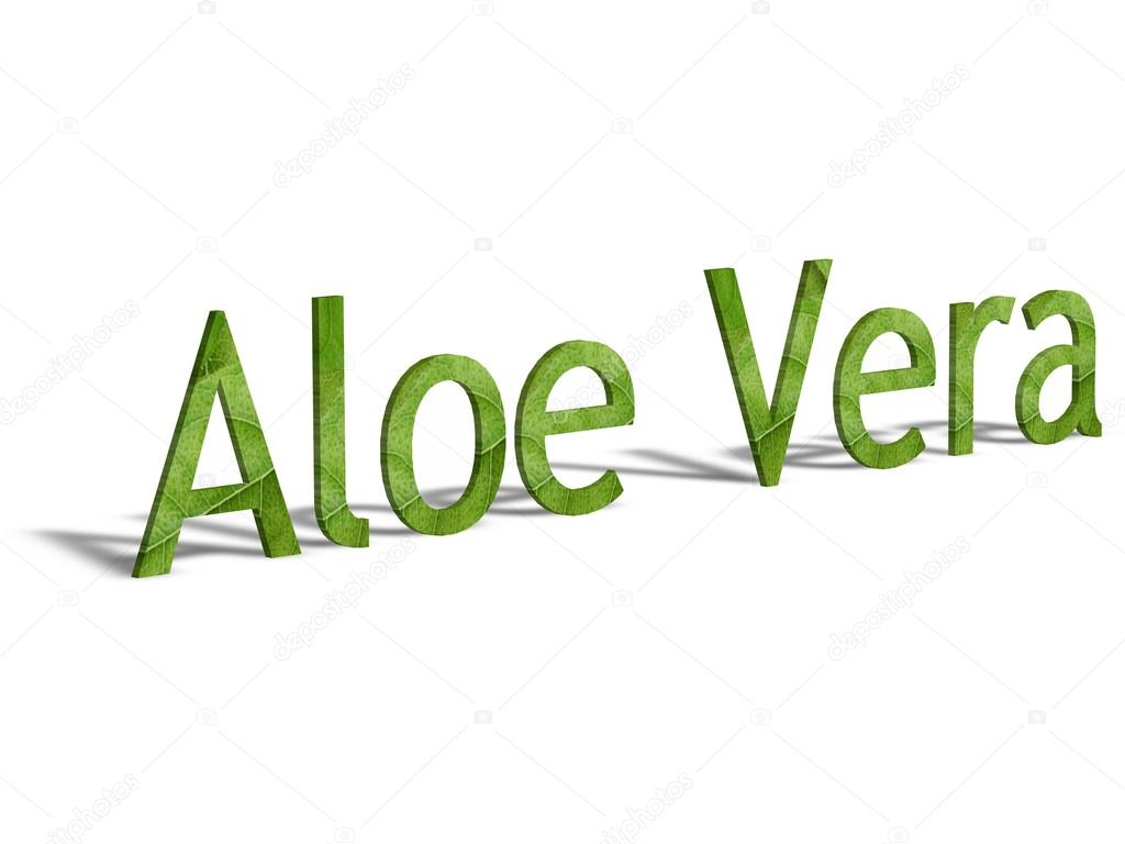 Aloe vera Stock Photo by ©mysky 46801253