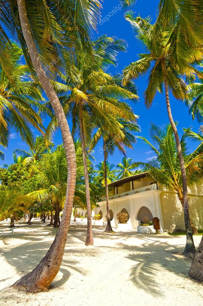 Bungalow between palm trees Stock Photo by ©Stockdonkey 30045037
