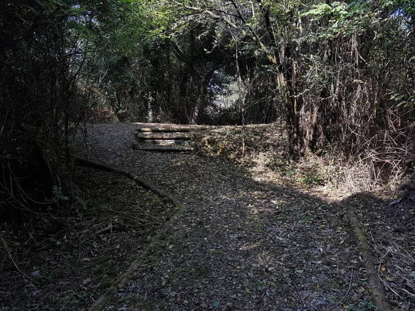 Creepy path Stock Photos, Royalty Free Creepy path Images | Depositphotos