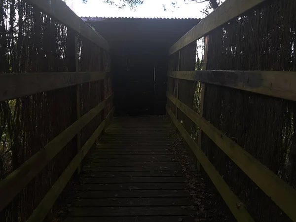 Creepy path Stock Photos, Royalty Free Creepy path Images | Depositphotos