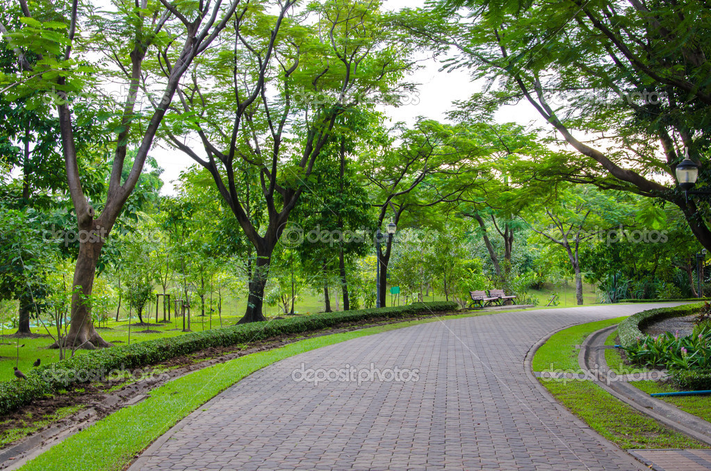 Pedestrian walkway for exercise with trees in park — Stock Photo ...