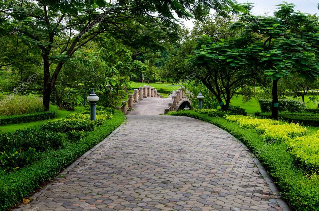 Pedestrian walkway for exercise with trees in park — Stock Photo ...