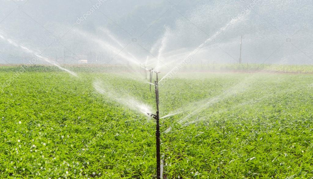 Vista de la mañana de un sistema de aspersores de línea de mano en un ...