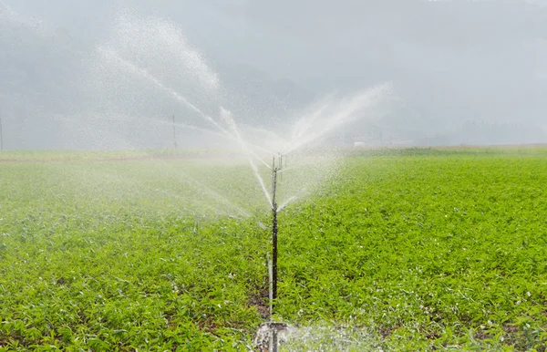 Irrigation sprinklers water a farm field against late afternoon — Stock ...