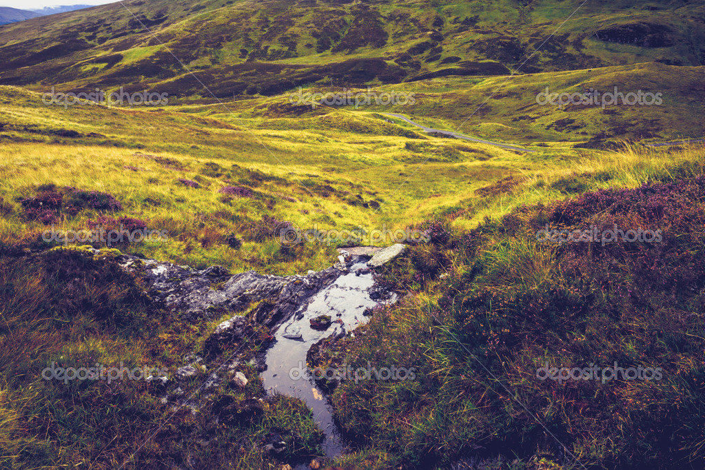 Small stream of water flowing through hillside — Stock Photo © lofilolo ...