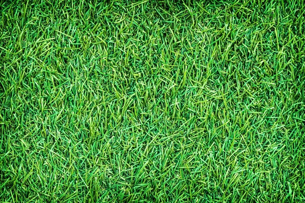 Green artificial turf texture for background - Stock Image - Everypixel