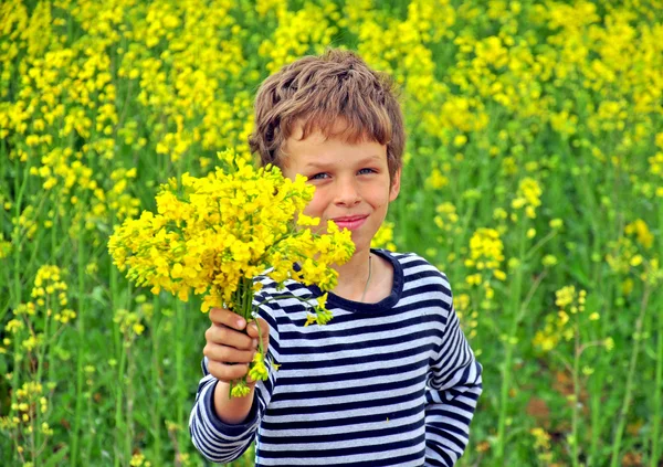 Fotos de Jongen met de bloem, Imagens de Jongen met de bloem sem ...