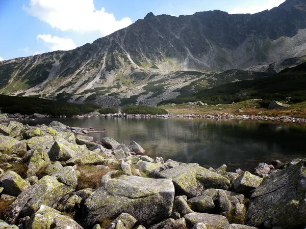 Fauna y flora de polonia stock fotografie, royalty free Fauna y flora ...