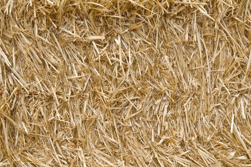 Straw texture — Stock Photo © thomaslenne #29286515