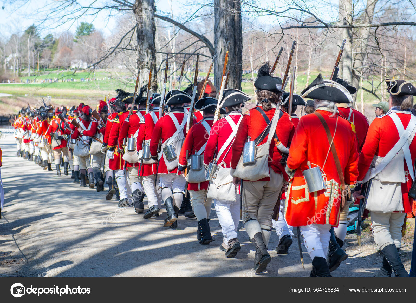 Colonial Patriot Arms Graphics