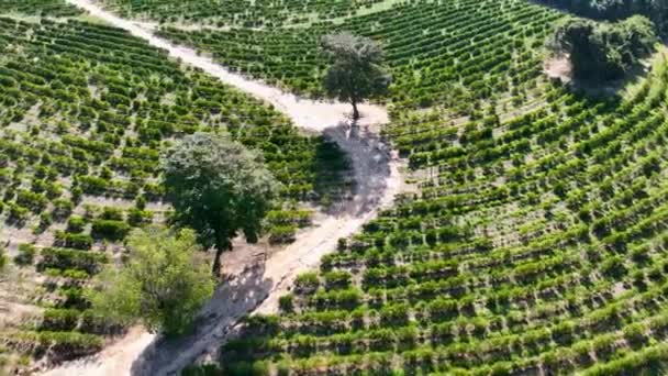 419,184 Landscape rural Videos, Royalty-free Stock Landscape rural ...