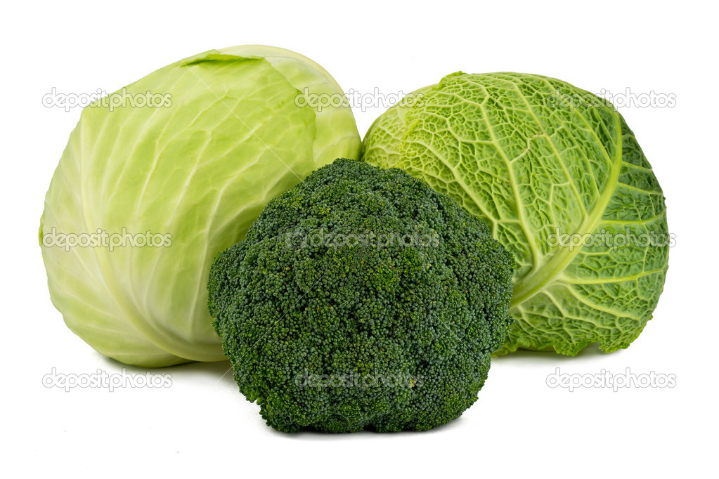 Collection de différentes variétés de choux — Photographie cukmen ...