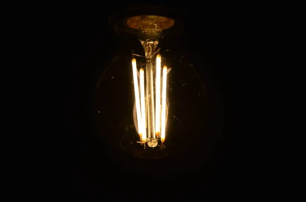 Tree light bulb Stock Photos, Royalty Free Tree light bulb Images ...