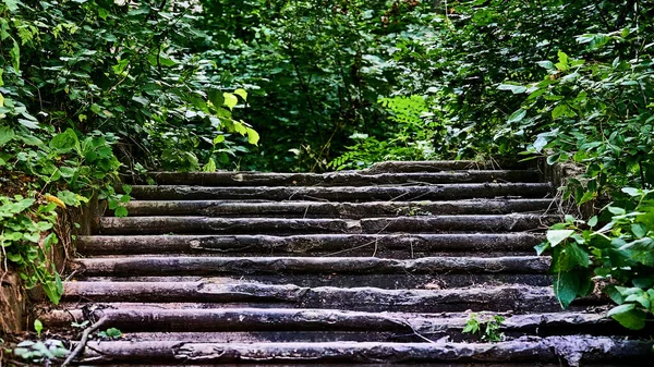 Jungle stairs Stock Photos, Royalty Free Jungle stairs Images ...