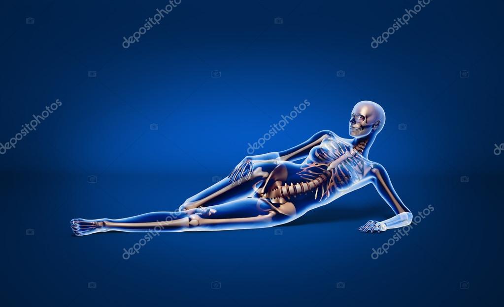 Skeleton Lying On Floor | Viewfloor.co